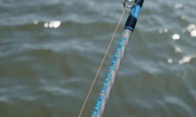 Big Cat Fever (BCF Rods) – Zakk Royce Edition - Catch The Fever Outdoors