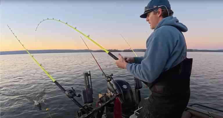 Best Fishing Line for Catfish: Pound Test & Slime Line Guide